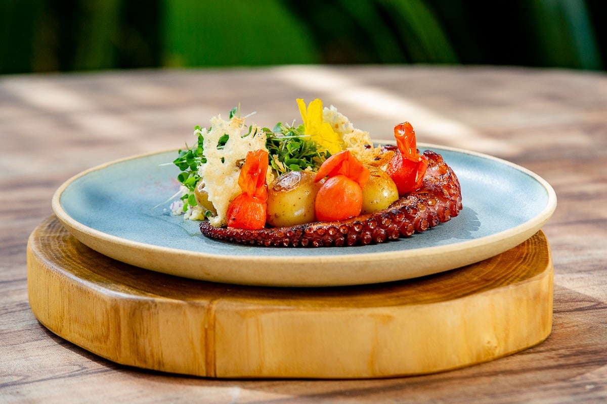 Nano Beach oferece formato de day use e programação musical na véspera ...