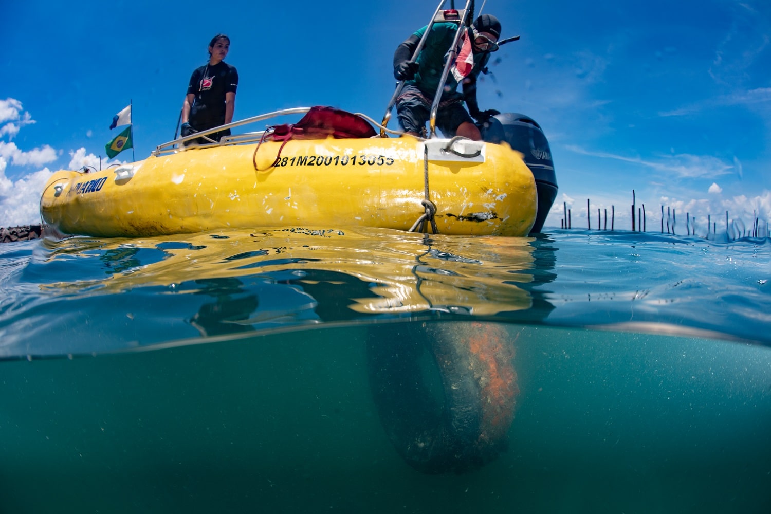 Resultado: Paramana Nature celebra coleta em Ilha dos Frades - Uran ...